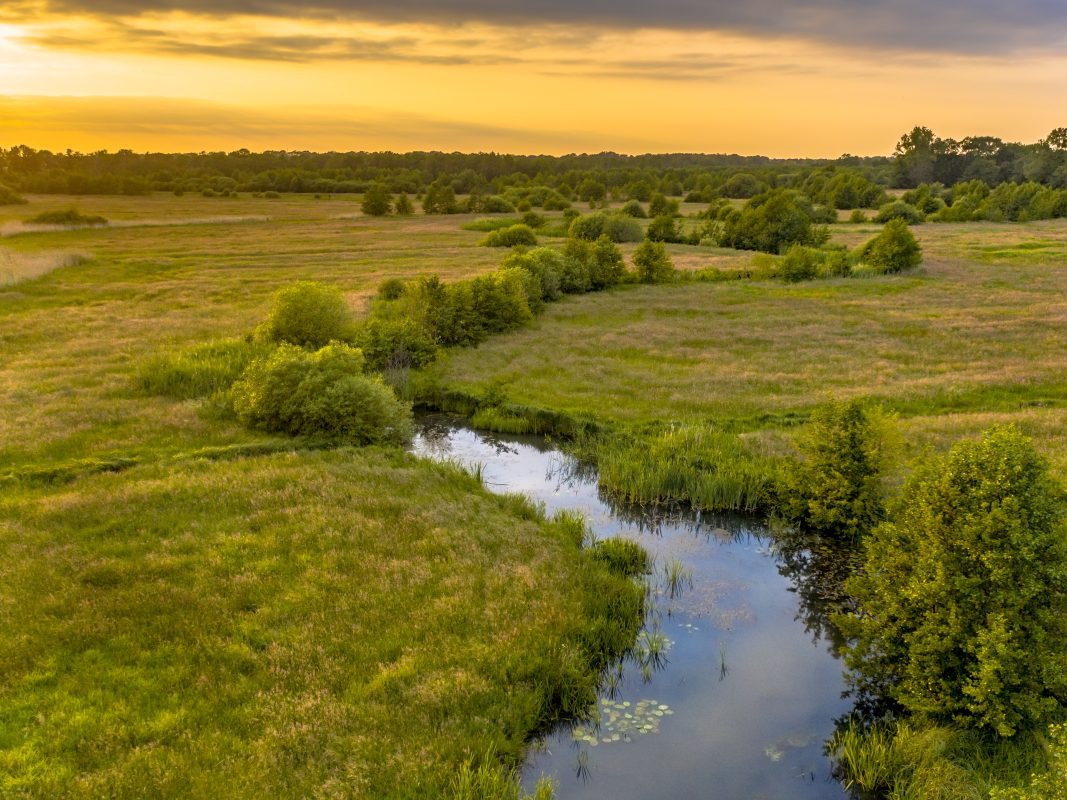 Aerial view of green grassland river valley | Melanie P. Smith